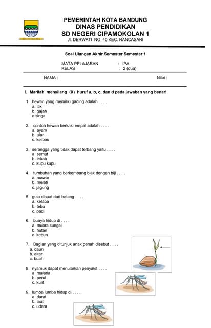 Uts pai kelas ii sd | PDF