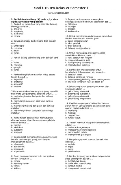 Uts pai kelas ii sd | PDF