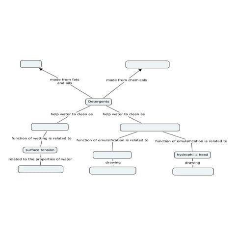 Conceopt Map Soap student version | PDF