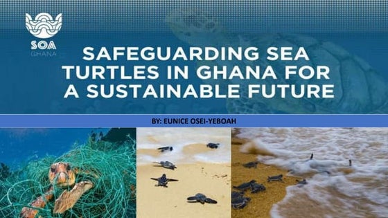 5 ways that you can help sea turtles! | PDF