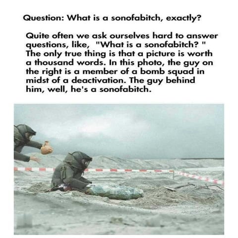 S.O.B. Defined | PDF