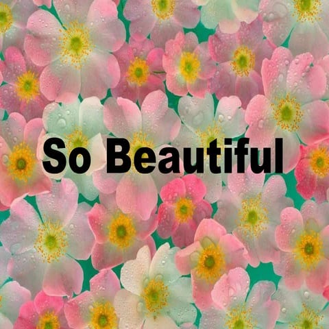So Beautiful | PPTX