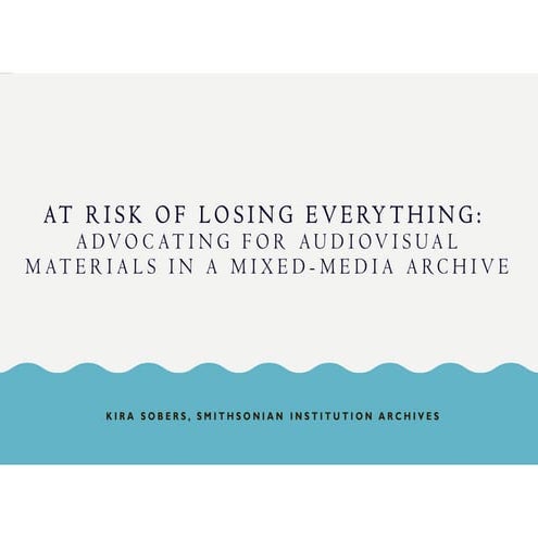 Sobers "At Risk of Losing Everything: Advocating for Audiovisual ...