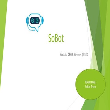 So Bot | PPT