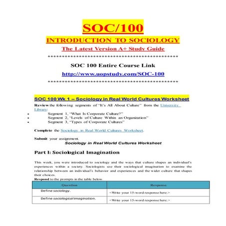 Sociology project | PPTX