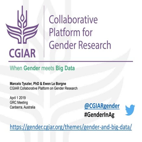 CGIAR Collaborative Platform for Gender Research - Gender meets big ...