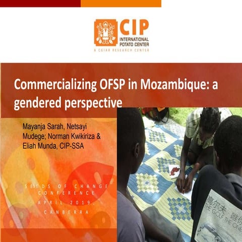Commercializing OFSP in Mozambique: a gendered perspective | PPTX