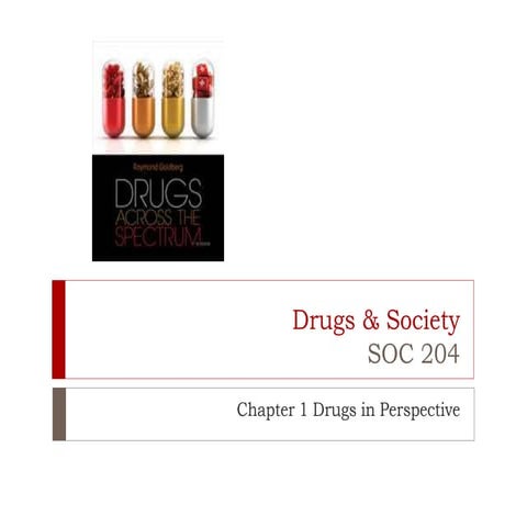 SOC 204 Goldberg ch 3 and 4 | PPTX