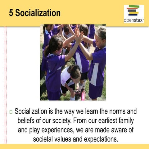 Socialization | PPT