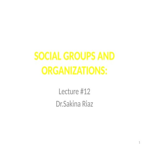 Social groups and Social organization | PPTX