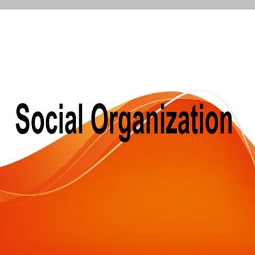 SOCIAL-ORGANIZATION.pptx
