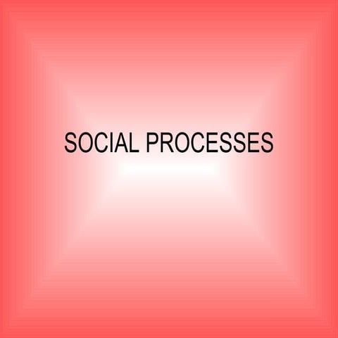 Social Processes | PPT