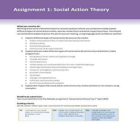 Social action theory (brief) | PDF