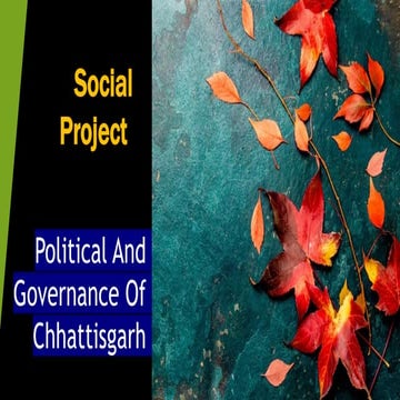 Social Art Integrated Project.pptx