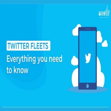 Twitter Fleets simplified by Social Buzz | PPT