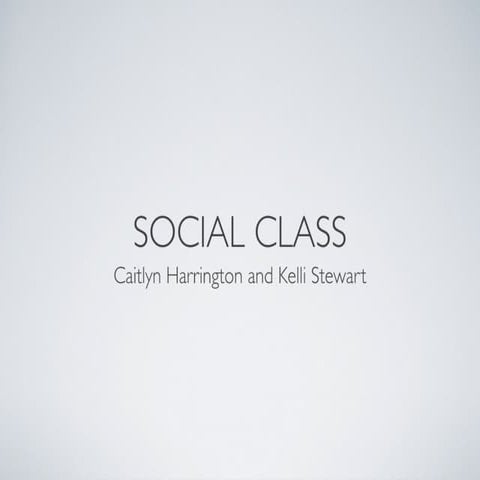 Social class | PDF
