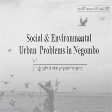 Social & Environmental Urban Problems in Negombo.pdf | Environment ...