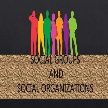 Social group and social organizations | PPTX
