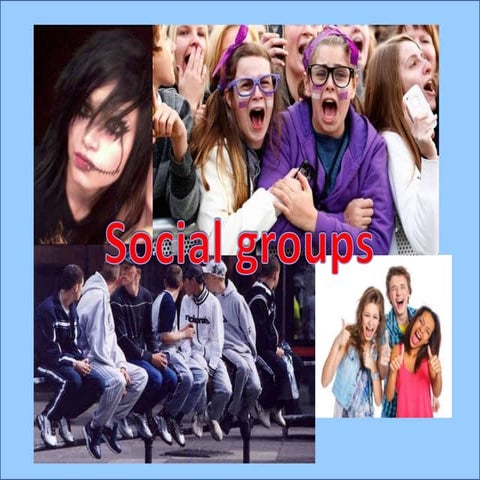 Social groups | PPT