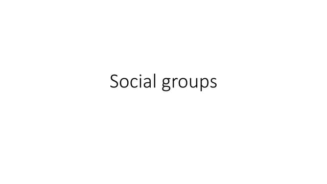 Social organization.pptx