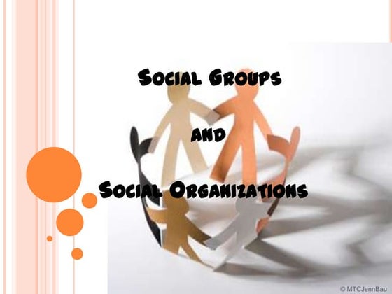 Social organization.pptx