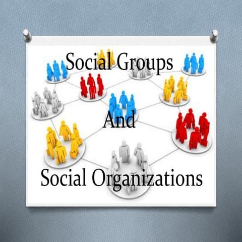 Social groups and social organization BSHRM4A @ STI Balagtas | PPTX