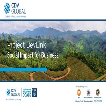 Social Impact for Business - Project DevLink - cdvglobal.com