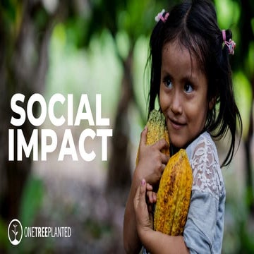Social impact module slides | PPT
