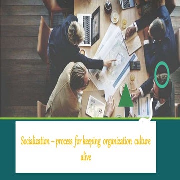Socialization | PPT