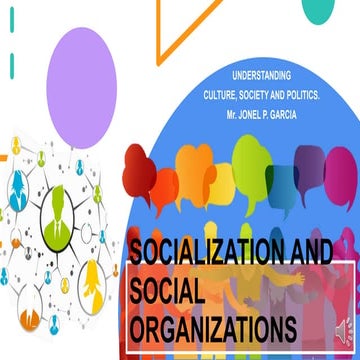 Socialization and social organizations | PPTX