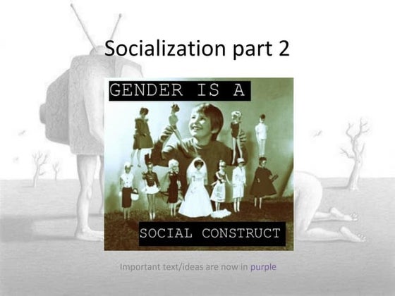Socialization | PPT