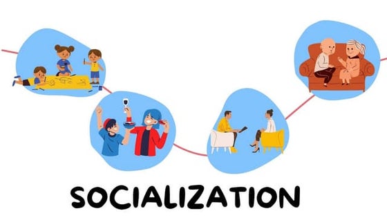 Socialization | PPT