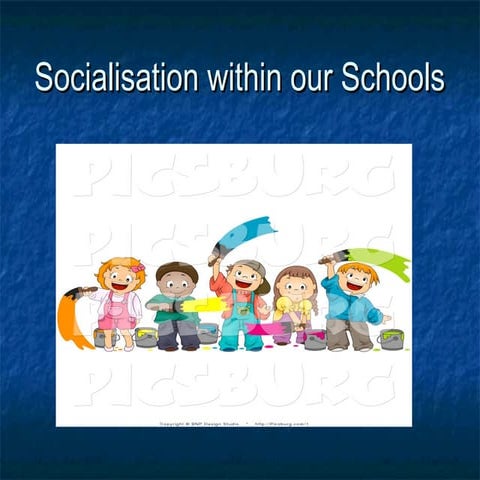 Socialization Within Schools | PPT