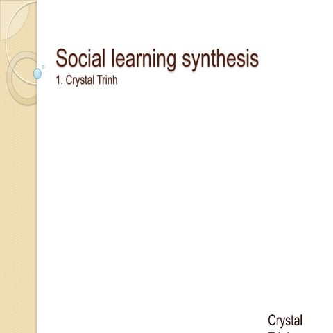 Social media synthesis | DOCX