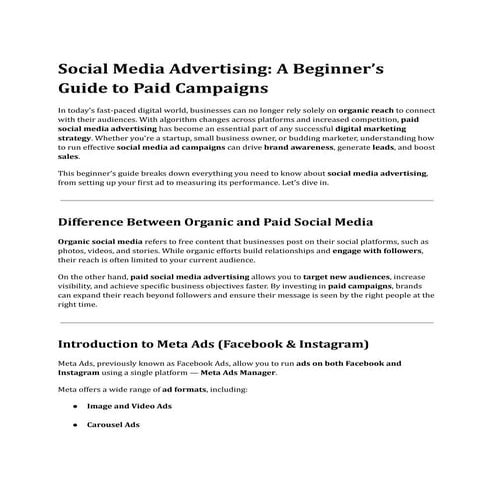 Mastering Paid Social: A Guide to Social Media Advertising Success | PDF