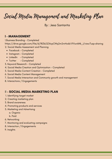 Smm plan | PDF