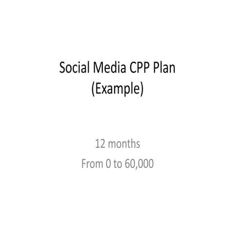 Social Media CPP Plan | PDF | Business | Business and Finance