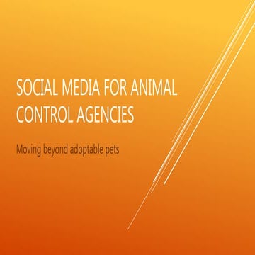 Social Media for Animal Control Agencies - Moving Beyond Adoptable Pets ...