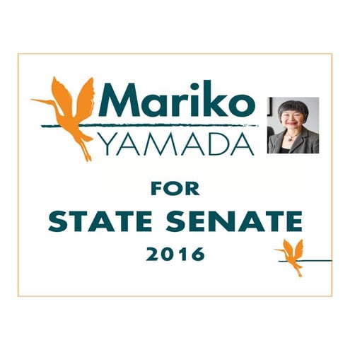 Flyer - State Senate Campaign | PDF