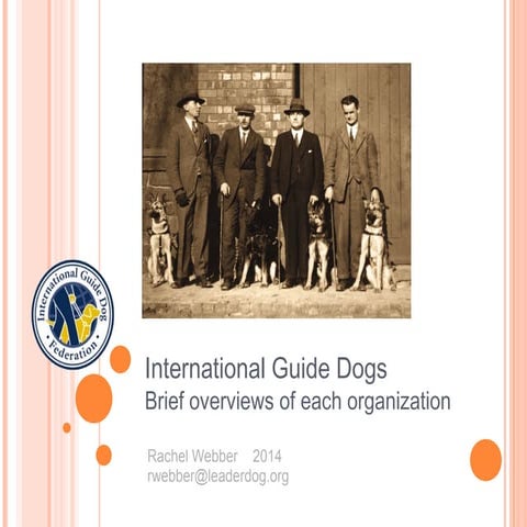 Social media guide dog North America | ODP
