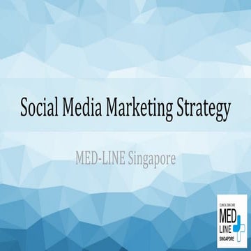 Social media marketing project | PPT