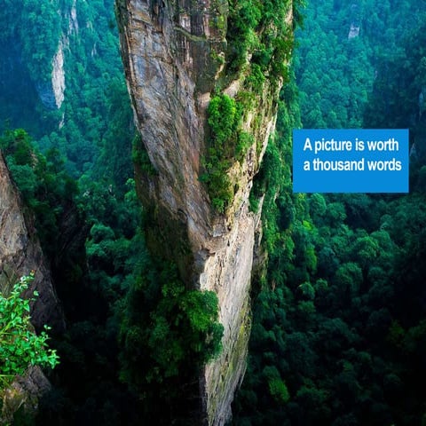 A Picture is Worth a Thousand Words | PPTX