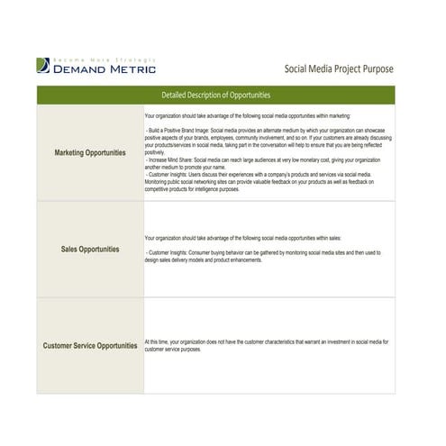 Social Media Strategy Scorecard | PDF