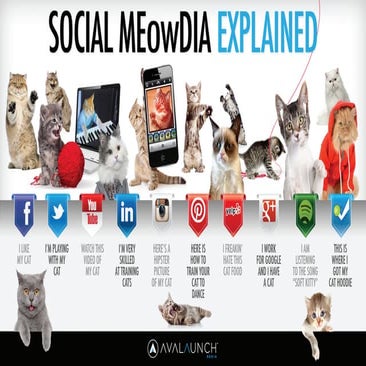 Social Media Explained by Cats | PDF