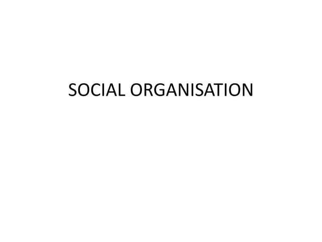 Social system (Sociology) | PPTX