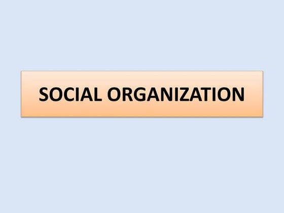 Social mobilization | PPT