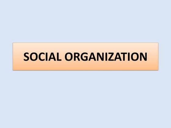 Social organisation and social system | PPT