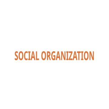 Social organization.pptx