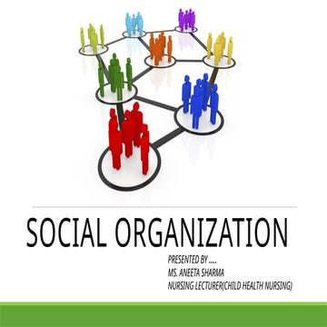 Social organization.pptx