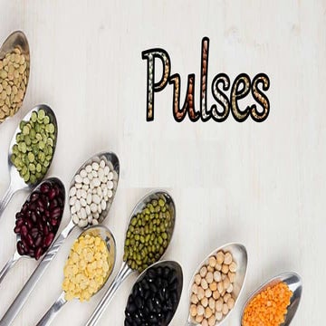PPT on Pulses .pptx
